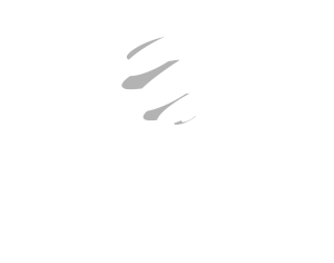 Faqs Organisation Faqs Qualification Check